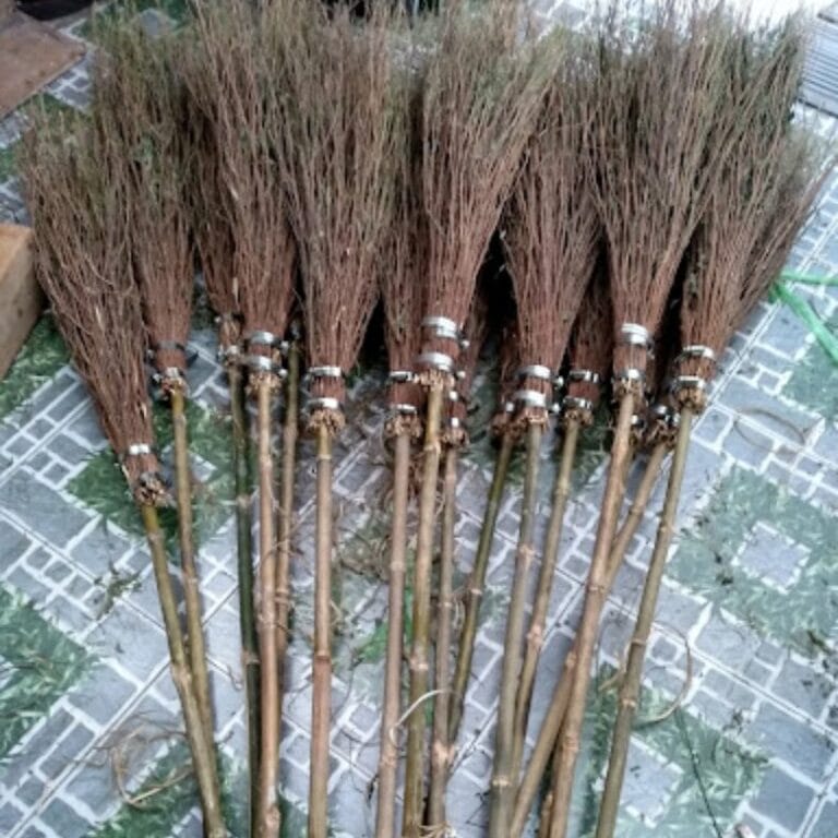 Chổi cọng dừa cán dài quét sân vườn dáng tròn